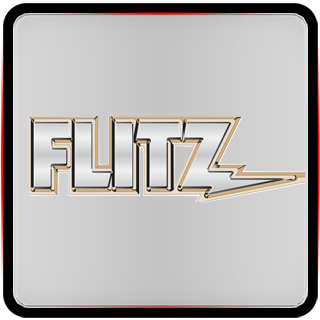Flitz Polish | Auto Obsessed
