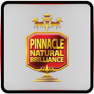 Pinnacle | Auto Obsessed